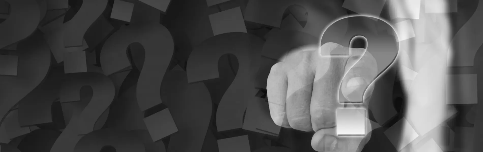FAQ | Quick Answers from FreeStyle Web & App Design Company